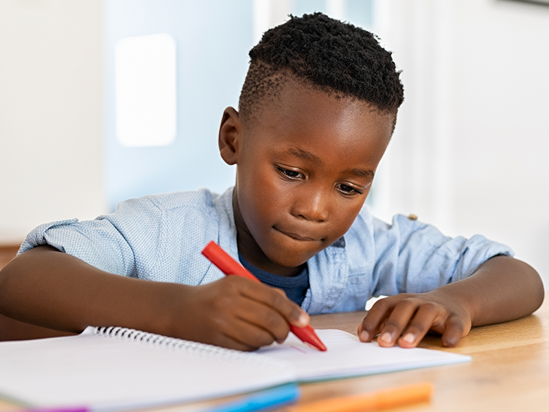 Elementary Micro-School | Miami Lakes Childrens Montessori